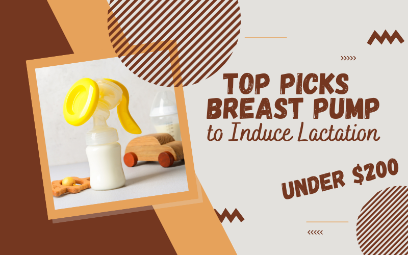 3 Best Breast Pump to Induce Lactation Under $200 - Buying Guide (2024)