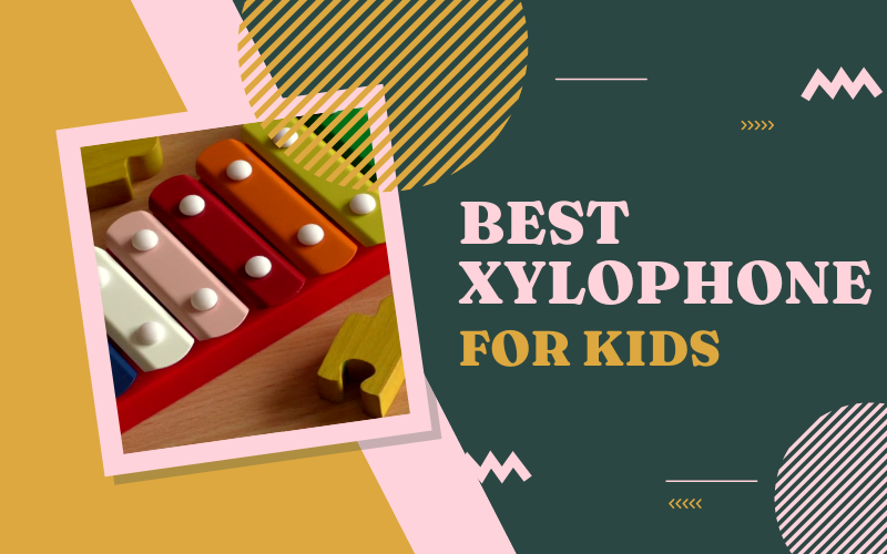 15 Best Kids Xylophone 2024 - Top Picks Review - I Am Momma, Hear Me Roar